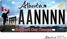 Become a Driving Instructor | AMA