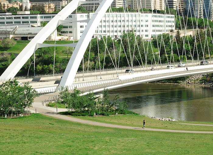 Auto Insurance Endorsements | AMA