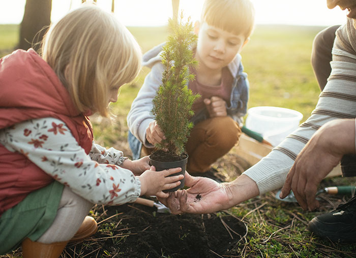 AMA Beehives: A Message from Michelle Chimko