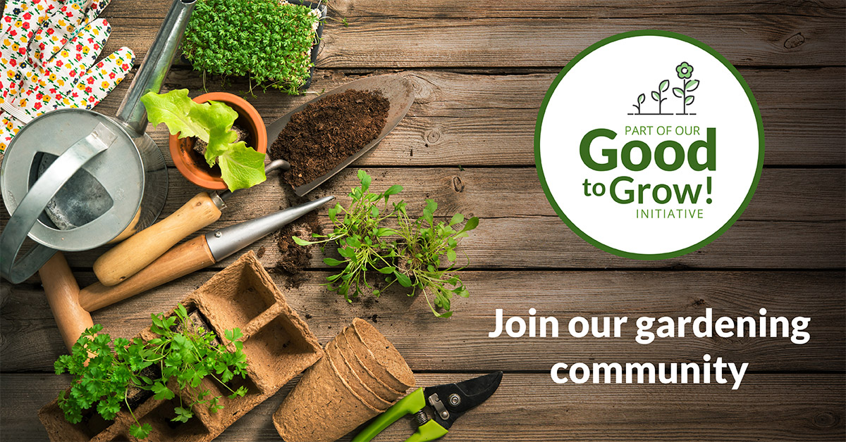 Good to Grow | AMA