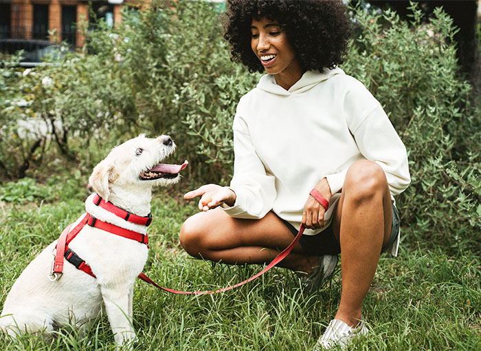 New Email Scam Imitating CAA/AMA - AMA