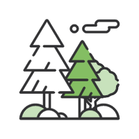 Centennial Forests | AMA
