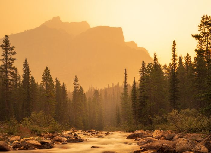 How Does AMA Work? - Alberta Motor Association