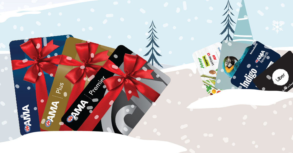 Gift Ideas for Everyone | AMA