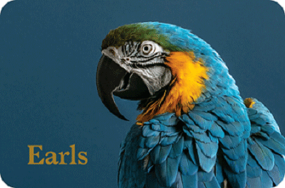 AMA Gift Cards That Help You Save | AMA