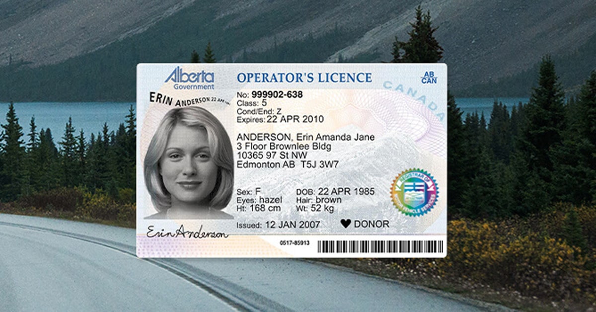 Everything You Need for All Alberta Driver’s Licences | AMA