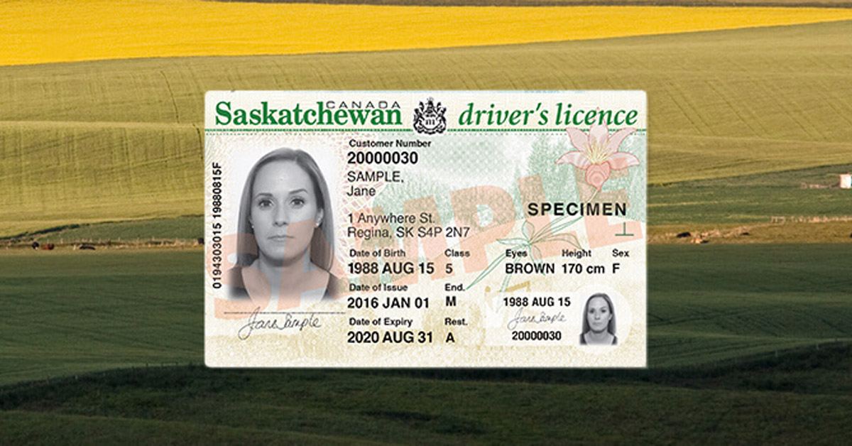 Exchanging an Out of Province Driver’s Licence | AMA