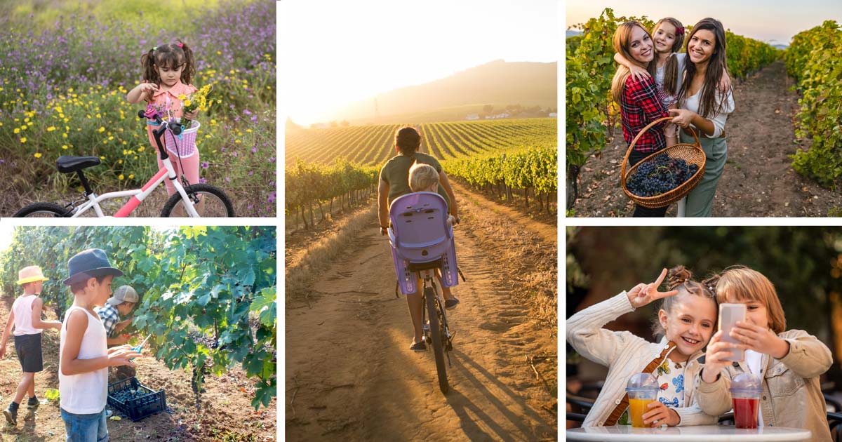 How to Do Family-Friendly Wine Tours | AMA Travel
