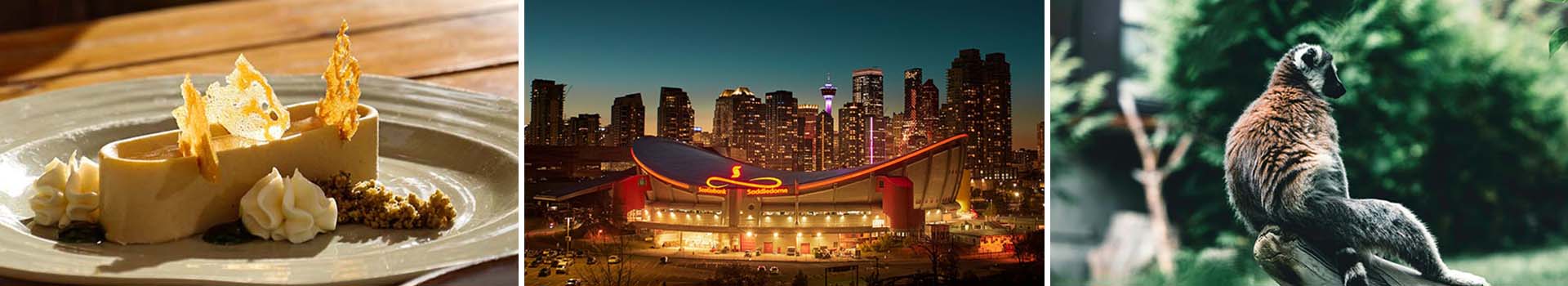 Build Your Own 3-Day Itinerary in Calgary | AMA Travel