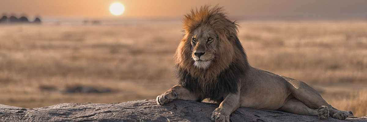 The Top Questions People Ask About Costsaver