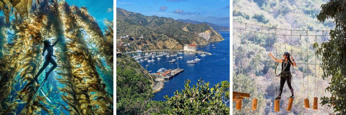 Your Complete Guide to Cruising Western Mexico | AMA Travel