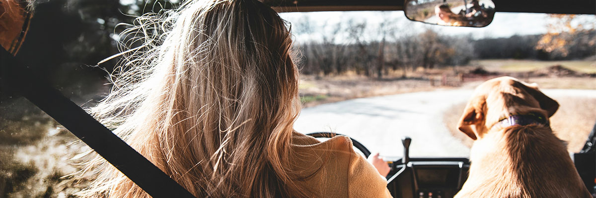 AMA Travel Website