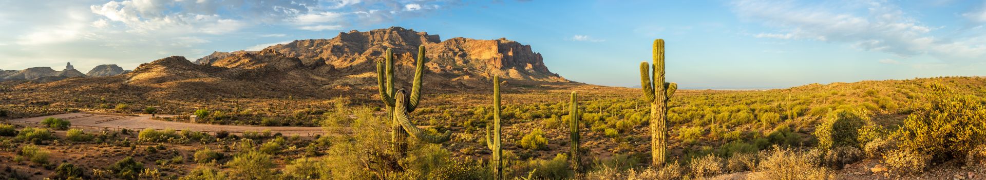 The Top Five Highlights of Southern Arizona