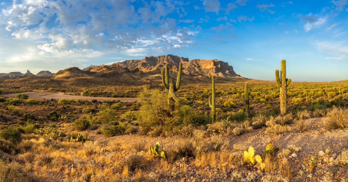 The Top Five Highlights of Southern Arizona | AMA Travel