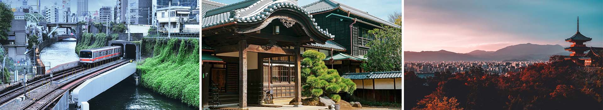 Tokyo Flights, Activities, and Destination Info | AMA Travel