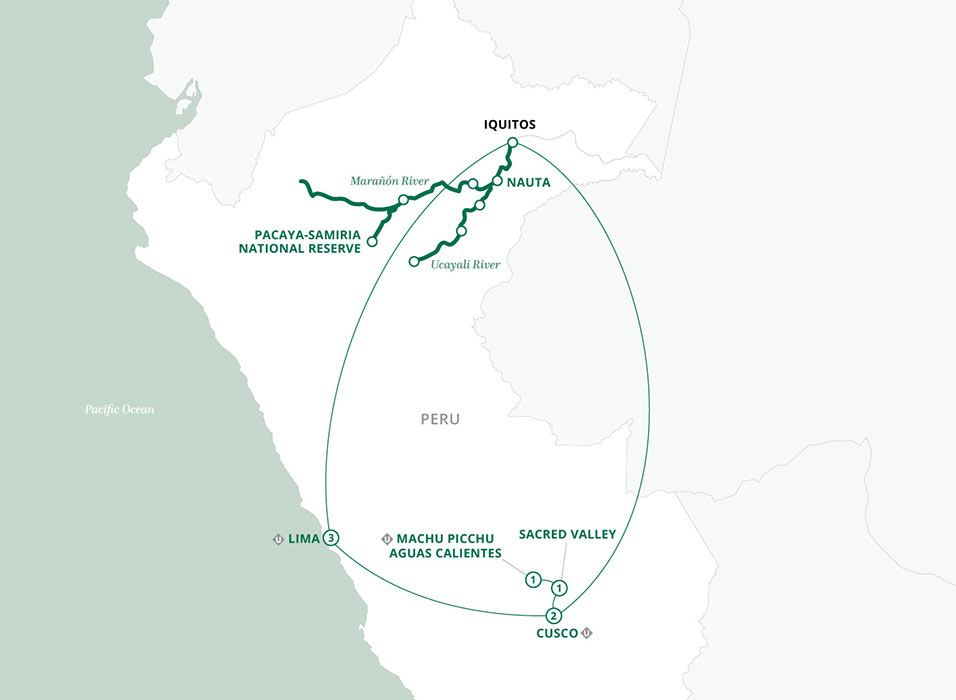 AMA Travel Website
