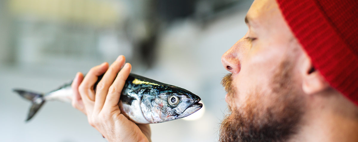 Getting Screech’d In: A History of Kissing Cod in Newfoundland | AMA Travel