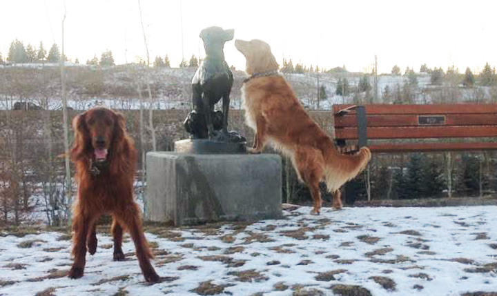 Calgary Hotels, Fun Things to do, Activities & Attractions | AMA Travel