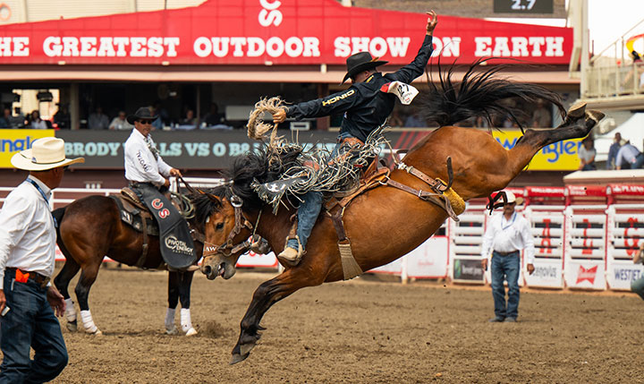 Calgary Hotels, Fun Things to do, Activities & Attractions | AMA Travel