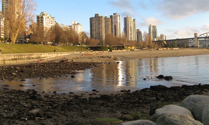 Vancouver Hotels, Flights, Attractions & Things To Do | AMA Travel