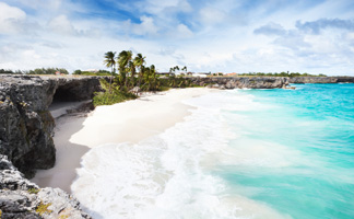 barbados pink sand beaches crop over festival carnival activities from ...
